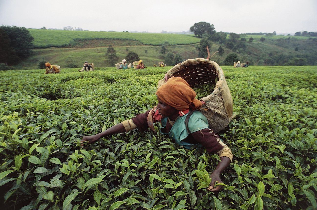 Chapter 2: The Colonial Economy in East Africa - Yaaka Digital Network